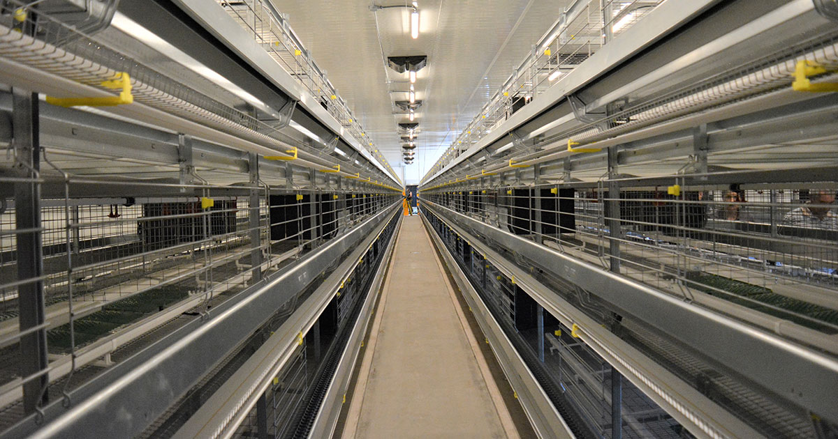 Our projectsClovis Gauthier & Fils Farm | Jolco Équipements