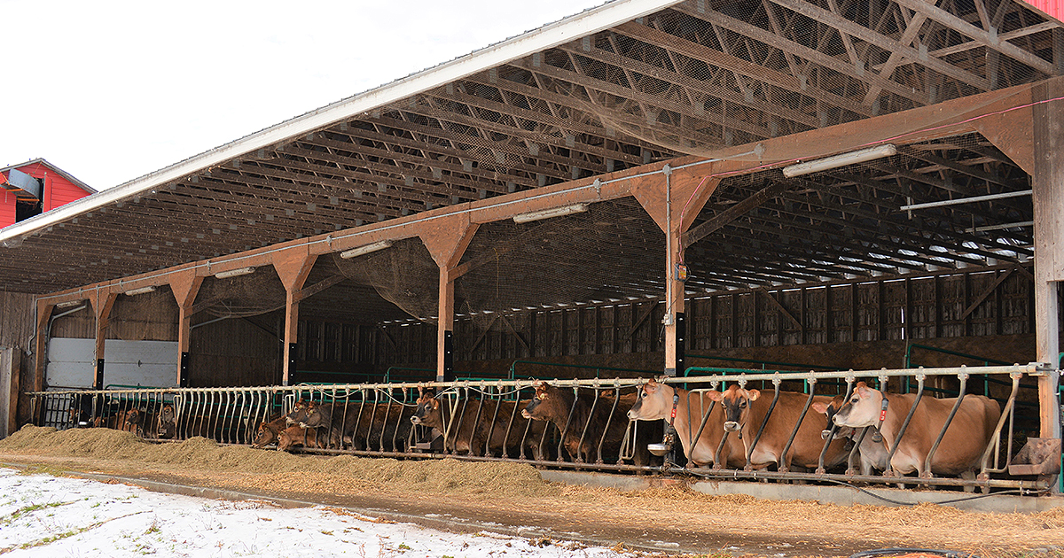 Nos projetsFerme Jelau | Jolco Équipements